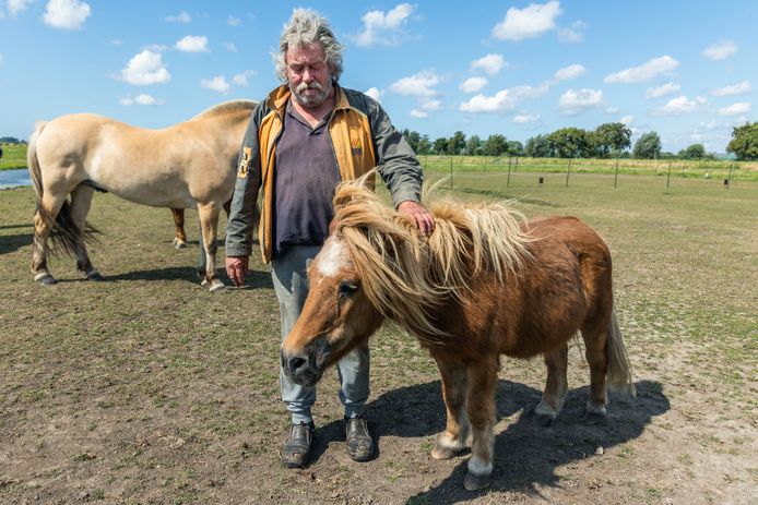 Van rechter moet pony Farfalla naar huis, maar Peter krijgt niet te ...
