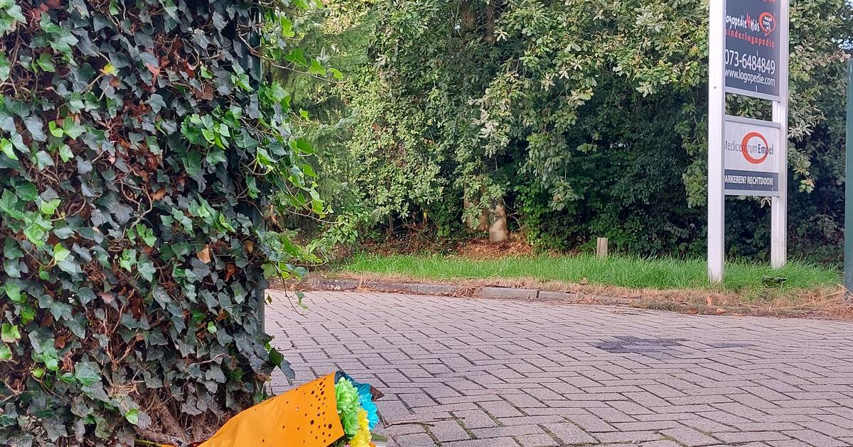 Overleden meisje (3) bij ’t Goudvisje is dochter van medewerkster van ...