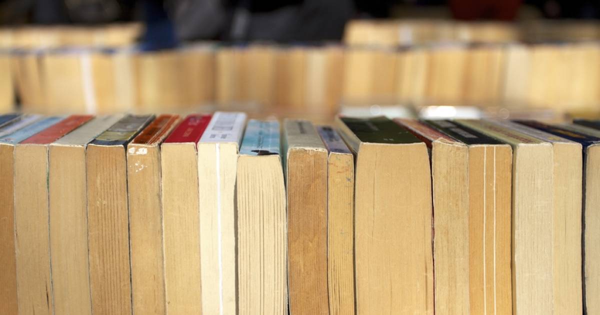 Liefhebbers van lectuur kunnen snuffelen tussen boeken en strips ...