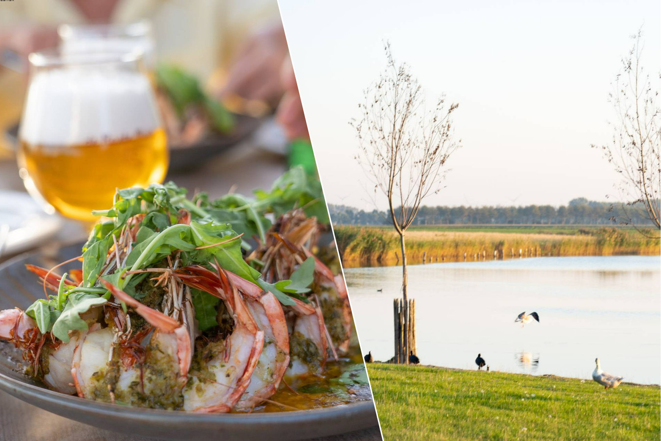 Eten aan het water: op deze zeven adresjes in het Meetjesland en Deinze ...