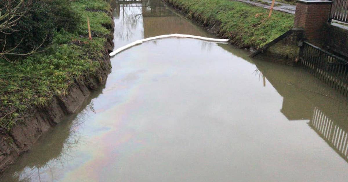 Mark sterk vervuild na fout bij vullen van stookolietank | Galmaarden ...
