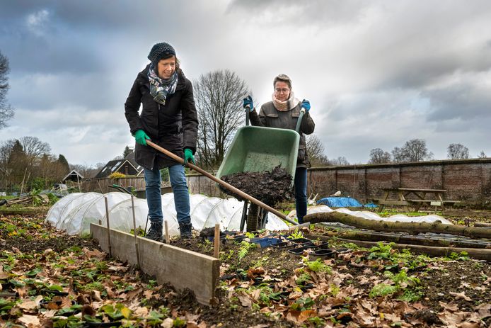 Moestuinen leveren fruit en groente aan duizenden klanten Voedselbank ...