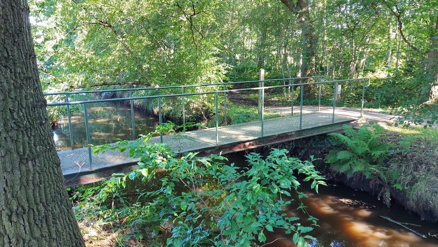 Meer levenskansen voor beschermde vissoorten in Zwarte Nete | Foto | hln.be