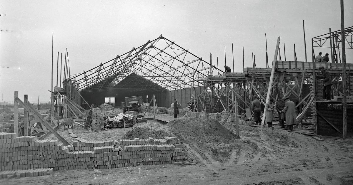 Wie bouwde er in 1950 mee aan de nieuwe fabriek van DAF? | Uit de oude ...