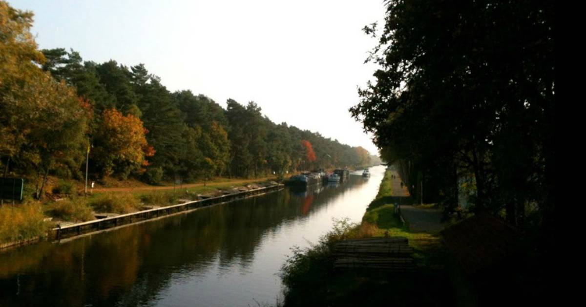 Errin (22) redt tachtiger van de verdrinkingsdood in Lommel: “Ik gooide ...