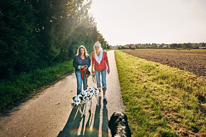 Campagne ‘Te Gek?!’ wil mensen aan het wandelen krijgen: "Buitenlucht ...