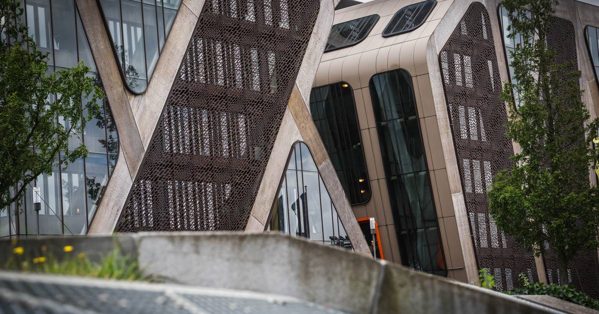 Dertiger krijgt celstraf met uitstel voor agressie tegen twee agenten: “Hij kon zijn ...