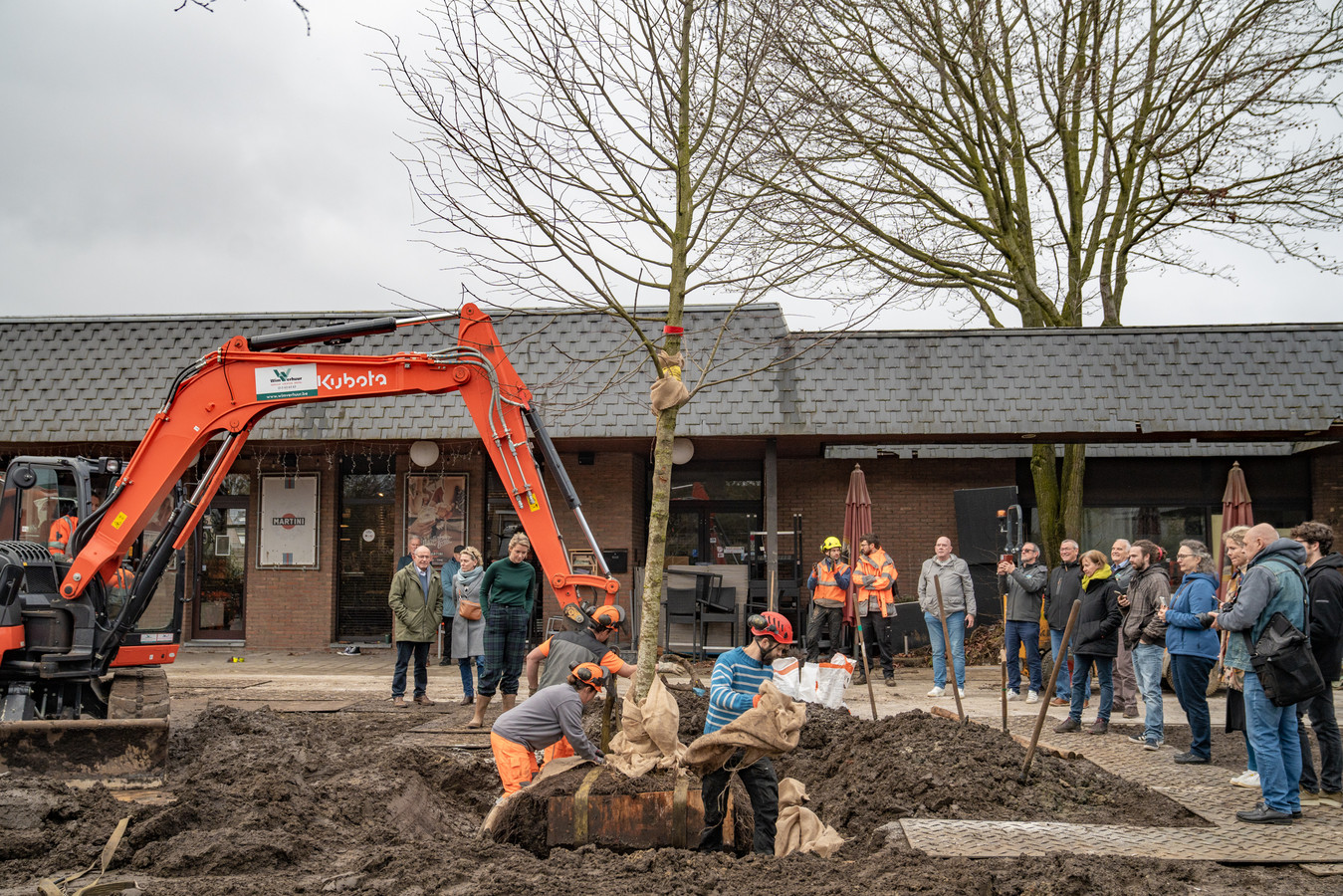 Stad Antwerpen steunt vergroening in districten met 2 miljoen euro ...