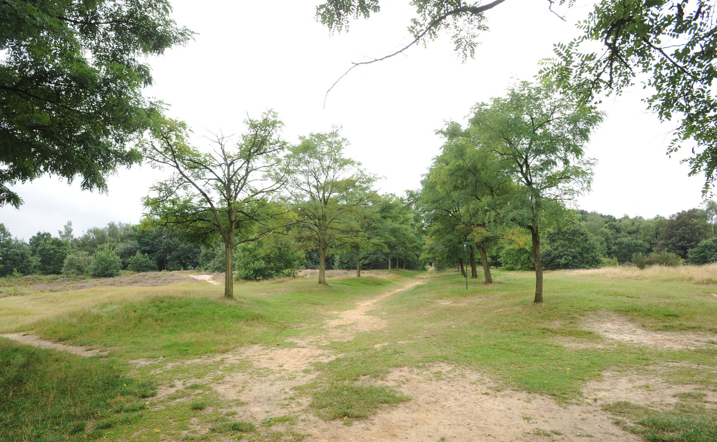 De favoriete plekjes in het Mechelse van ex-profvoetballer Jef Delen ...