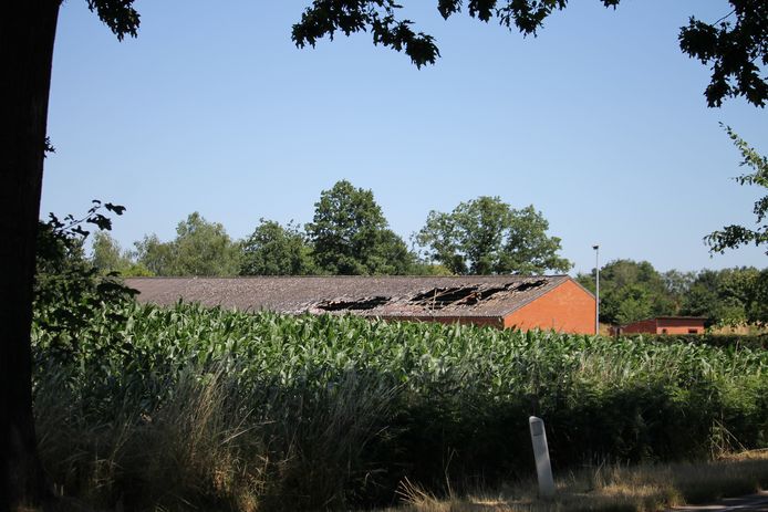 Brand verwoest paardenstal in Bree: “We laten de vrijgekomen ...