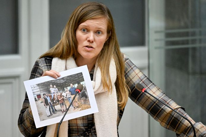 ANALYSE. De plotse exit van ‘leading lady’ Tinne Rombouts (44) in de ...