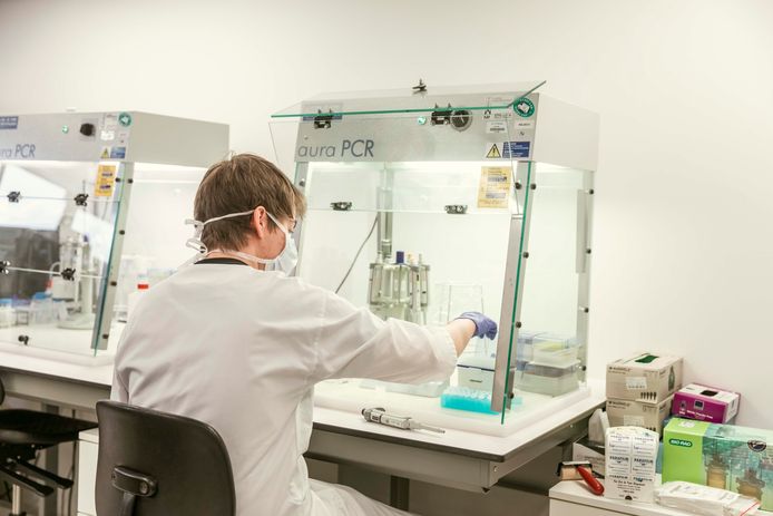 Labo Jessa ontdekt voor eerste keer Zuid-Afrikaanse coronavariant ...