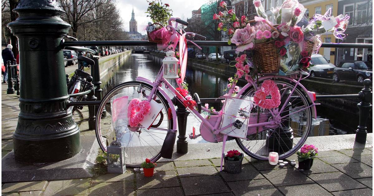 Roze fiets van overleden Lesley na werkzaamheden aan Elandbrug terug op ...