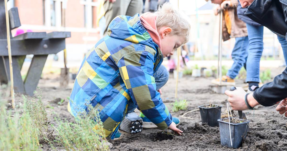 Wandelpad, plantenbogen en bloemenweide: Wonderwoudje geeft voortuin ...