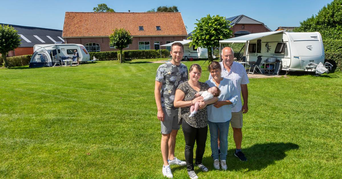 Nominatie voor camping De Wielewaal in Baarle-Nassau: ‘Kers op de taart ... Nominatie voor camping De Wielewaal in Baarle-Nassau: ‘Kers op de taart ...