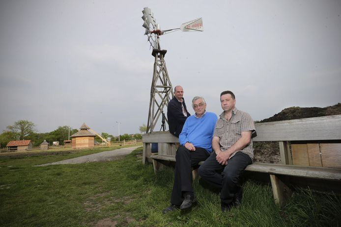 Amerikaanse windmolen pompt water op voor volkstuintjes | Zonhoven | hln.be