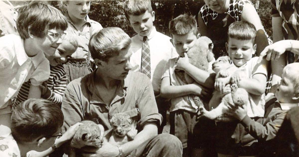 Een hond op de rug van een leeuw en andere bijzondere foto’s uit 75 ...