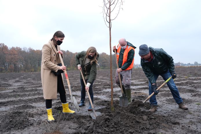 Natuurpunt plant bomen in de vallei van de Babelse Beek, maar niet ...