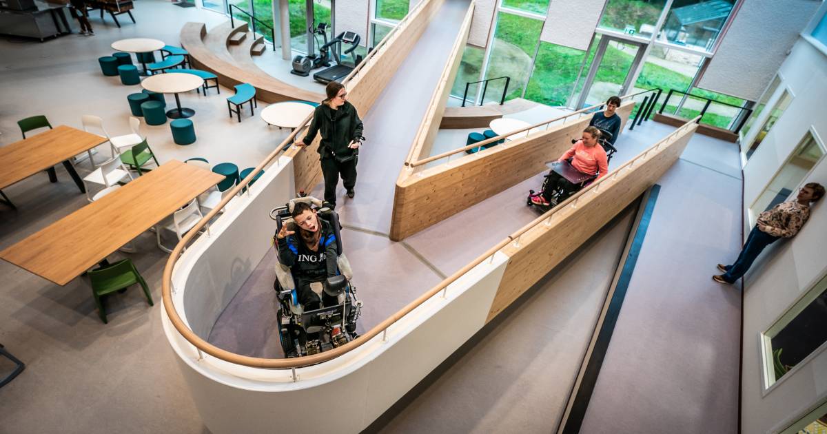 Dit wordt het nieuwe Prisma College in Arnhem: ‘Een gebouw dat liefde ...