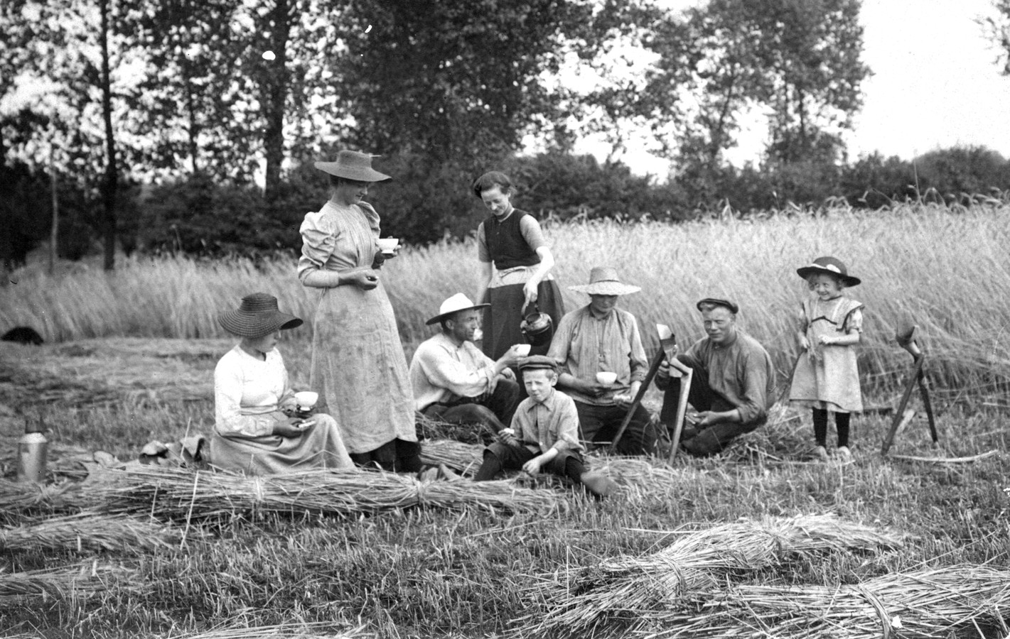 Jan ten Hove legt zes eeuwen Twents boerenleven vast: ‘Het ging maar om ...