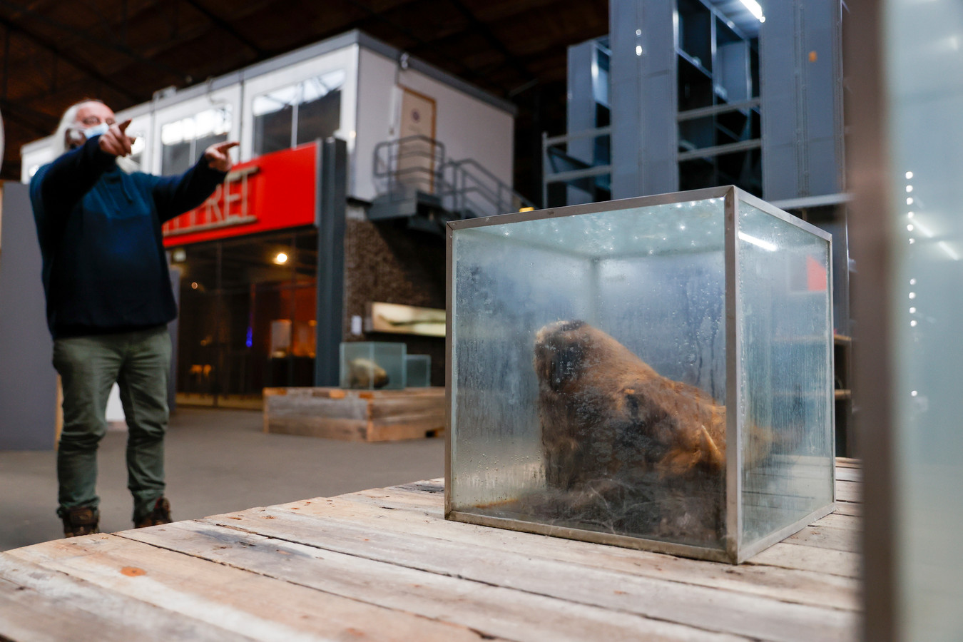 REPORTAGE. Het eigenzinnige museum van Geert Verbeke (68) uit ‘Stukken ...