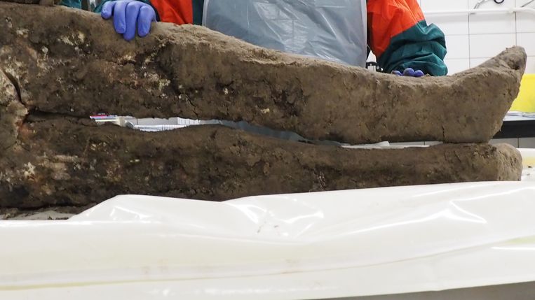 Dit lijkenveldje in Amsterdam biedt een schat aan informatie voor ...