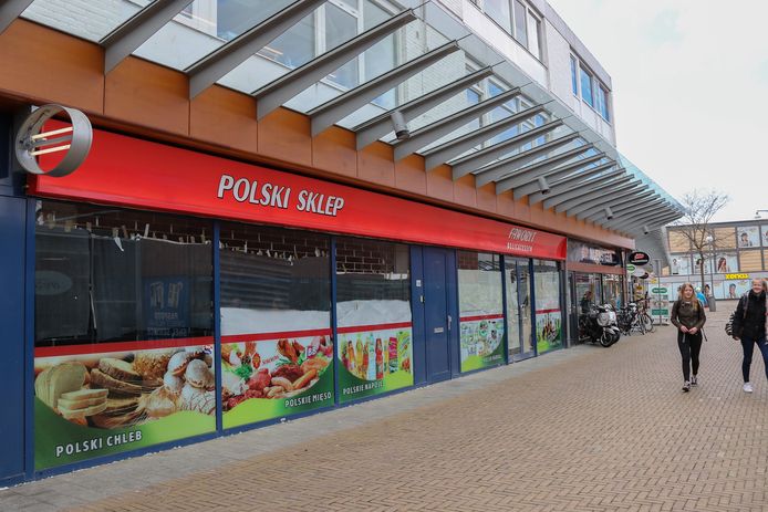 Wat komen busladingen vol Poolse arbeidsmigranten in uitgerekend Sint ...