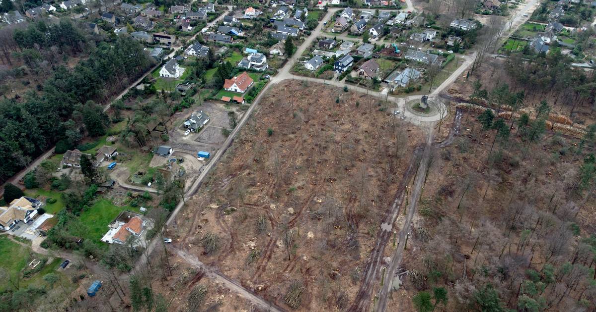 Boek over valwind moet inwoners Leersum morele steun verlenen | Utrecht ...