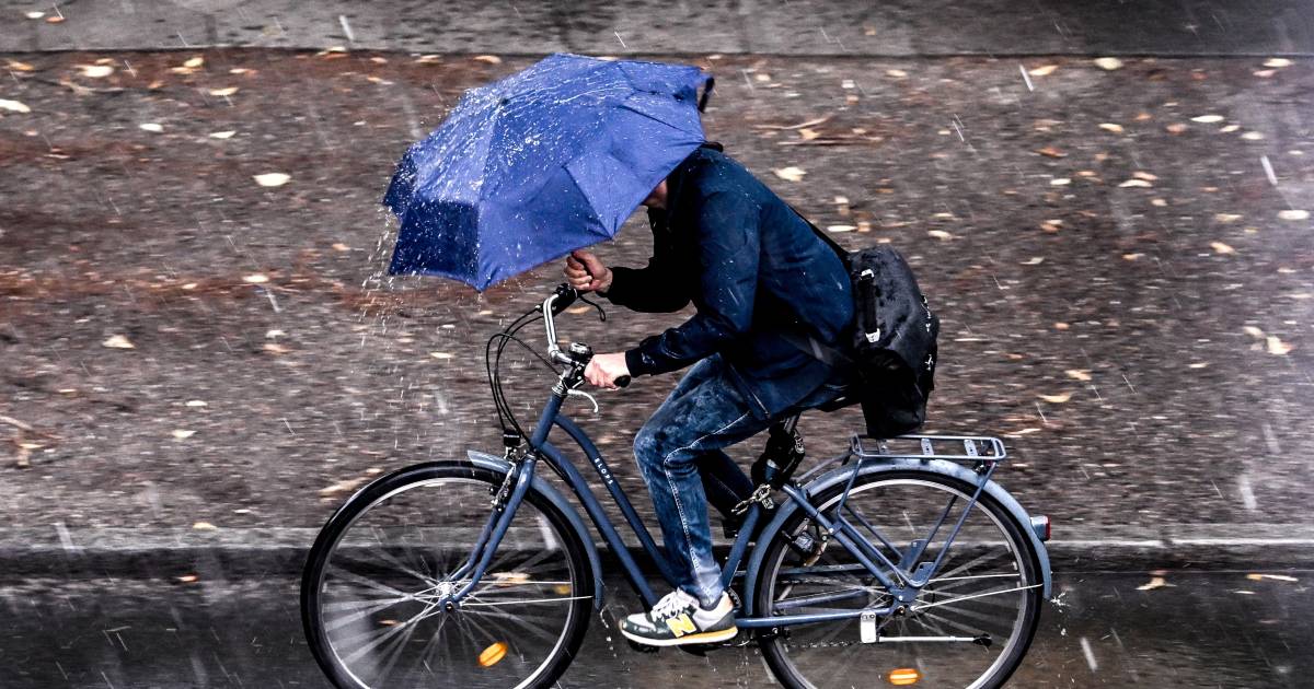 Natte week staat voor de deur, code geel in zuidoosten om onweer en ...