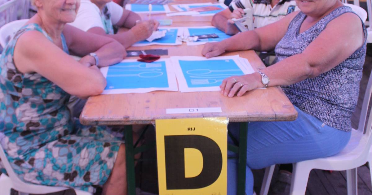 Zonnig Feestend Beert verloopt vlekkeloos | Pepingen | hln.be