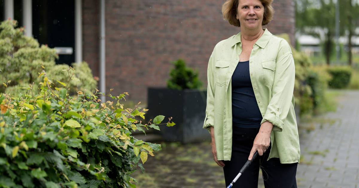 Ineens was Inge (63) blind, maar ze ging niet bij de pakken neerzitten ...