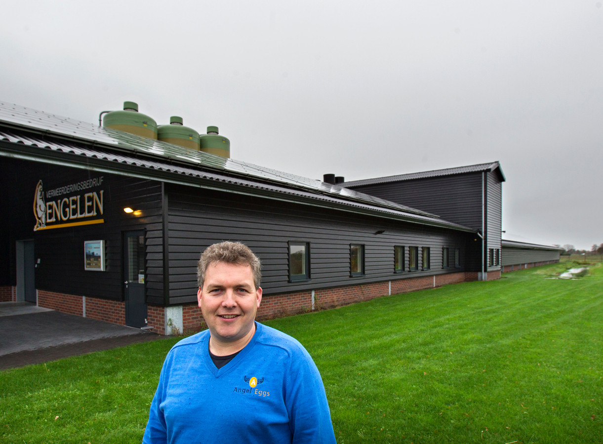Klap op klap voor pluimveehouder Twan Engelen uit Someren | Foto | ed.nl