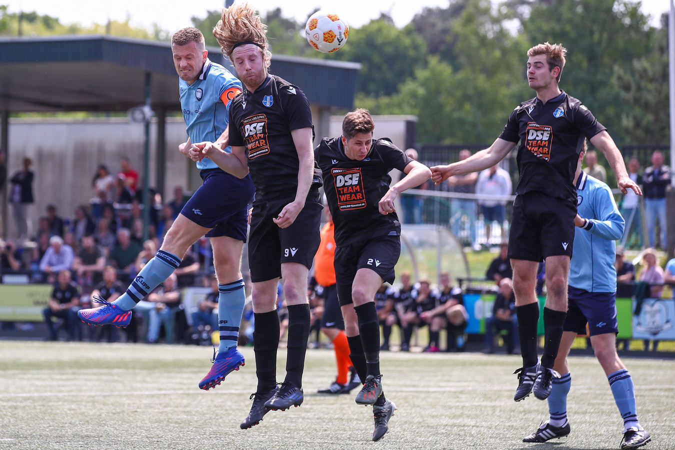 Kampioensthriller in Dieren met een lach en een traan: ‘Geweldig, hier ...