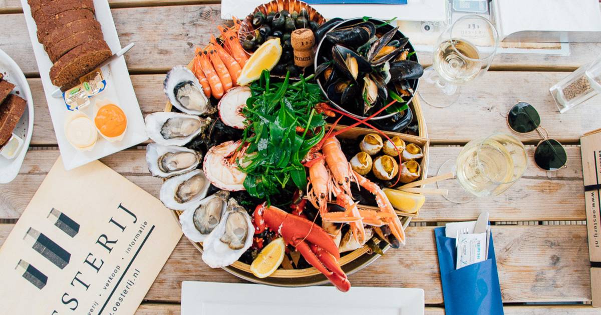 Oesterij in Yerseke // voor oesters en fruits de mer op de oesterputten ...
