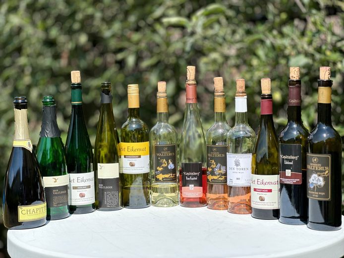 UITGETEST. Wijnen uit de Kempen. Deel 1, bubbels en wit: “We ruiken ook ...