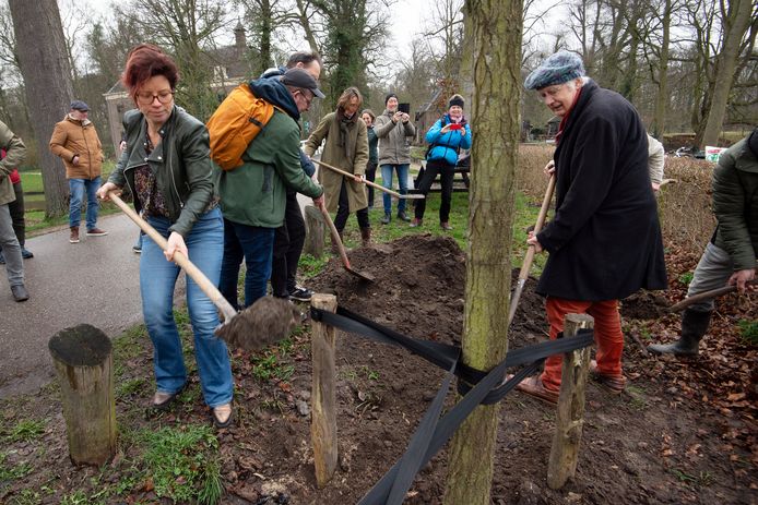 Dit Is Niet Zomaar Een Jonge Eik Over Een Eeuw Herinnert Deze Boom Ons Aan Strijd Voor