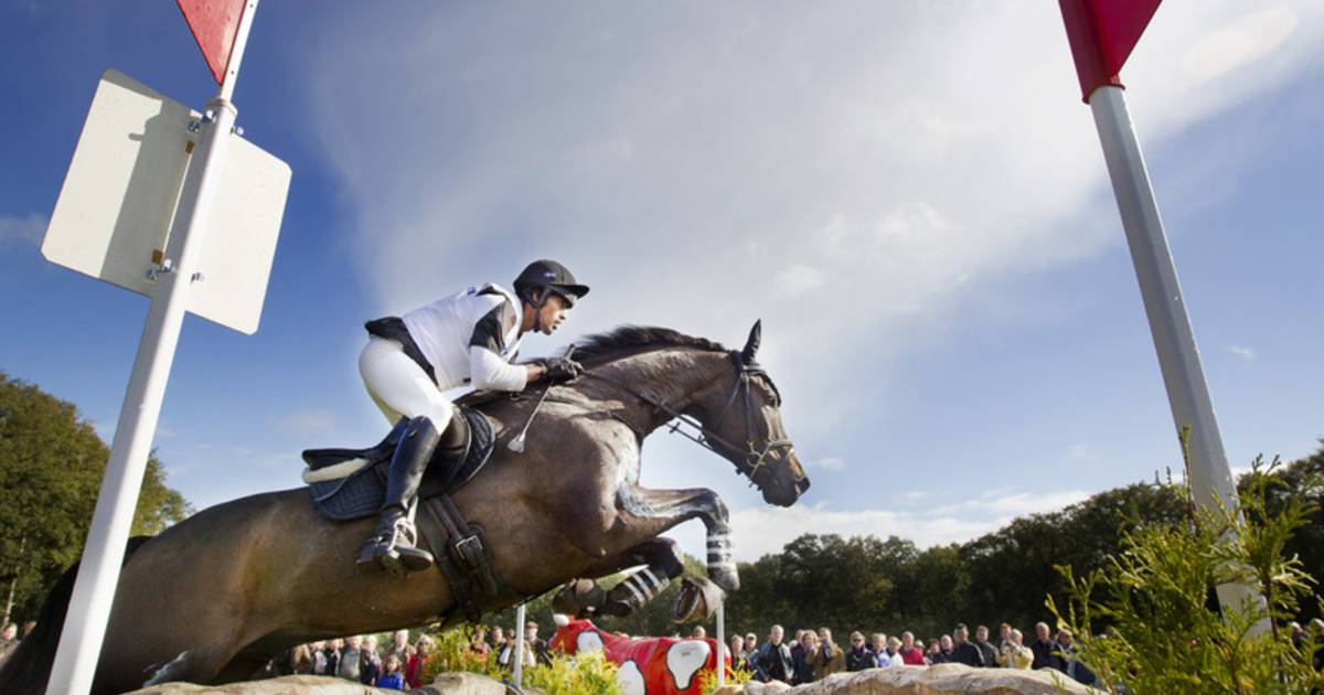 Boekelo denkt met 'Big Five' mee over Spelen | Andere sporten | AD.nl