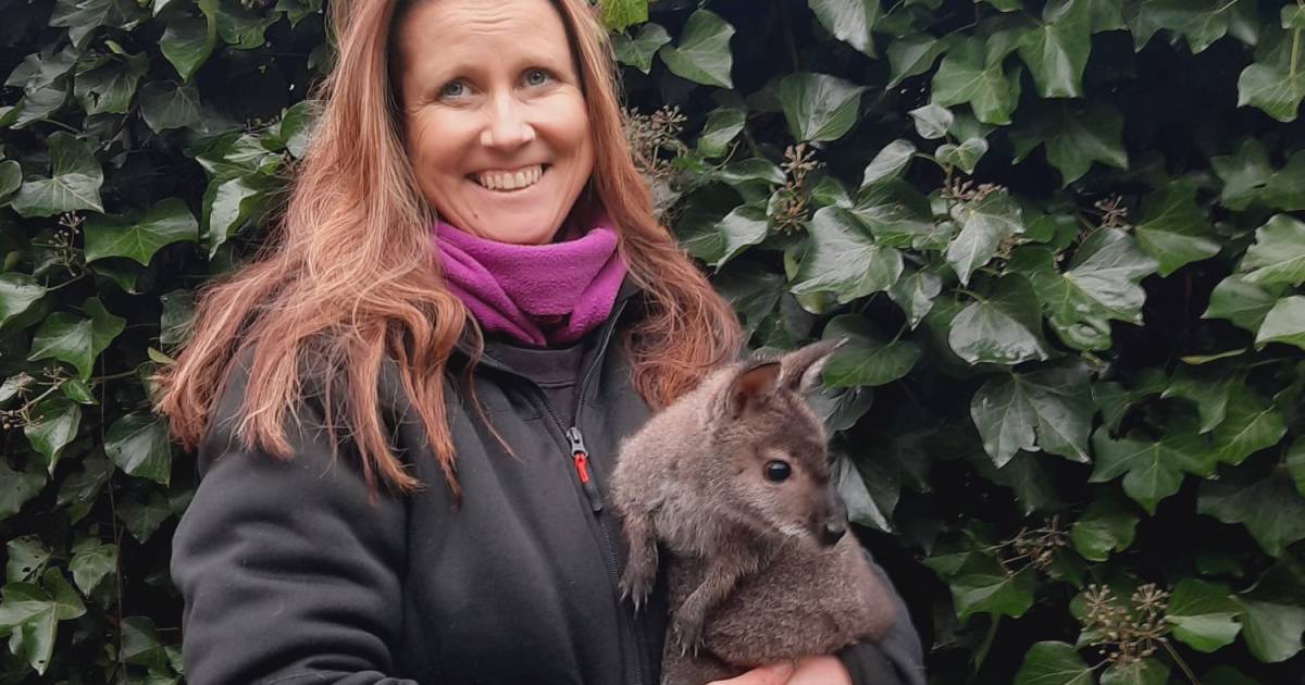 Margo (42) geniet van laatste dagen met kangoeroe Eo: “Van altijd samen naar voorgoed afscheid ...