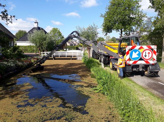 Dikke laag kroos is ramp voor water, maar verwijderen is zo makkelijk ...