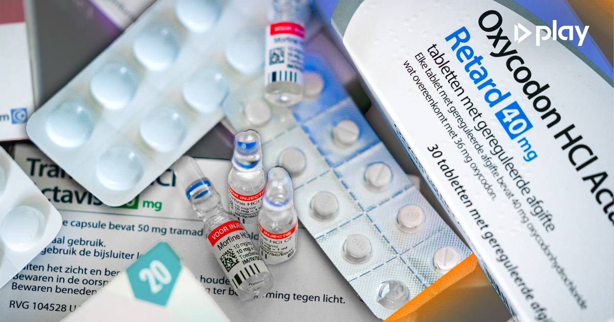 Pilletje oxycodon of fentanyl lijkt onschuldig, maar is het niet ...