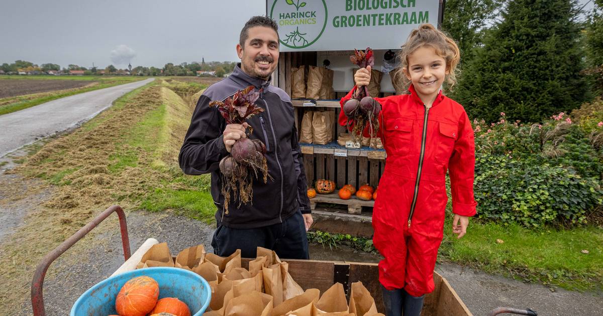 ‘Rode bietjes klaarmaken is veel makkelijker dan je denkt’ | Zeeland ...