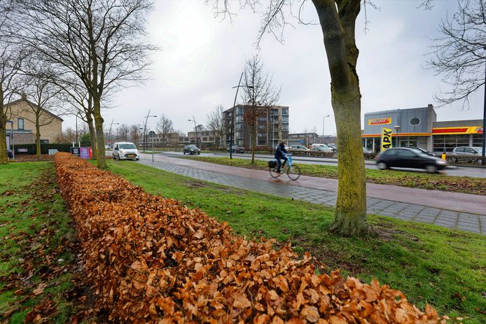 Pas op de plaats met weghalen van heggen in Boxtel | Boxtel | AD.nl