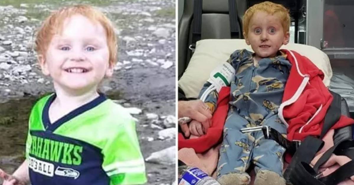 Vermiste kleuter (3) overleeft twee dagen in barre omstandigheden in ...