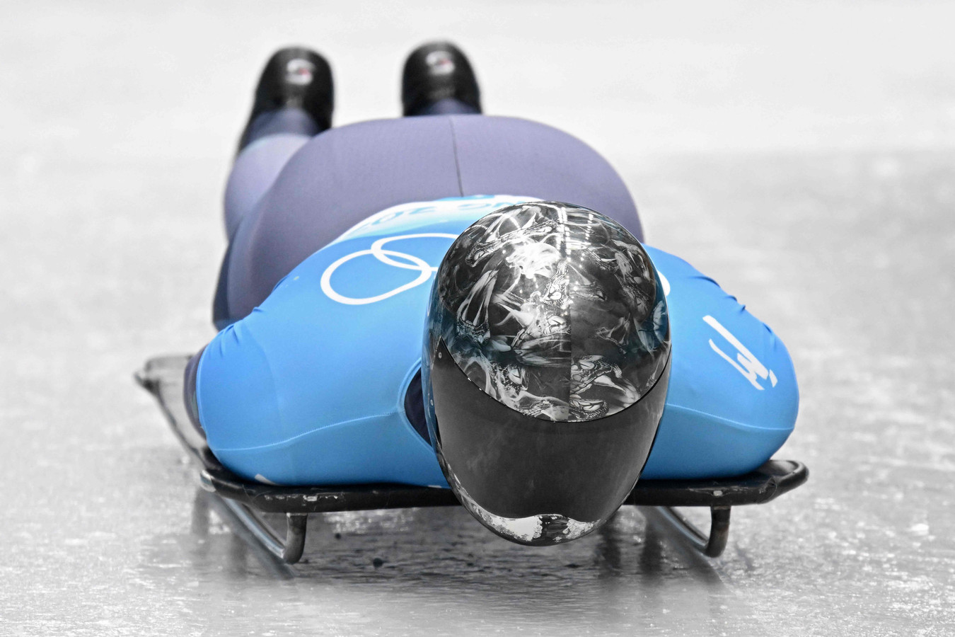 Eland, doodshoofd, adelaar, tulp of papegaai: dit zijn de mooiste ...