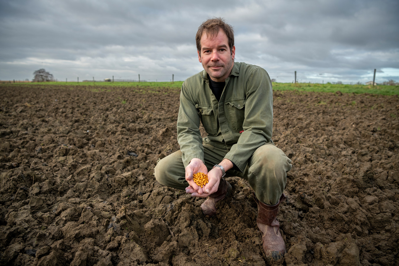 Hak zet Zeeuwse boeren voor het blok: alle groenten en peulvruchten ...
