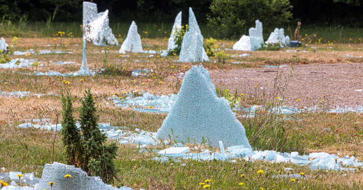 Waar komt de drang vandaan om dingen kapot te maken? ‘Je reageert je af ...