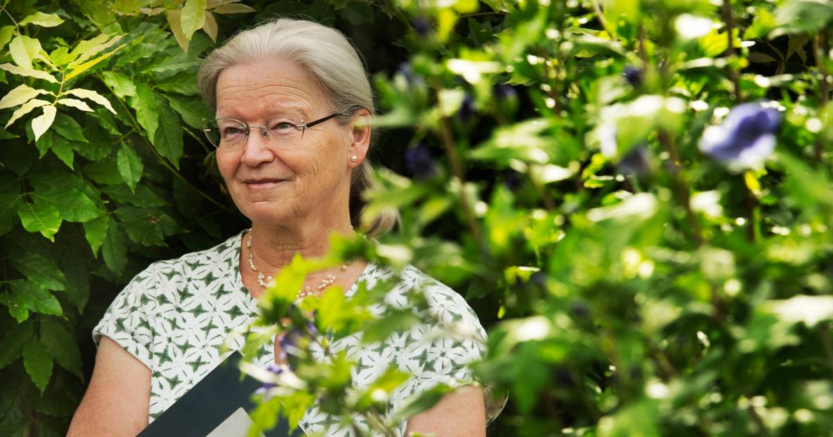 Anneke helpt in 1982 bij een zware bevalling en zoekt de baby van toen ...