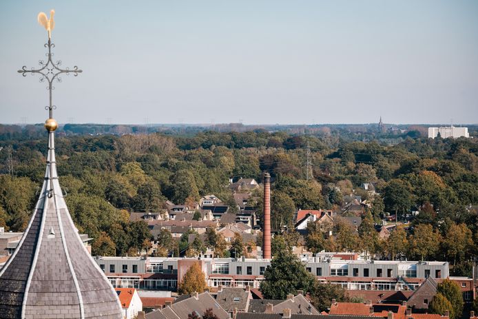 'Verliefd, verloofd, getrouwd', zo lang duurt het nog voordat Best en ...