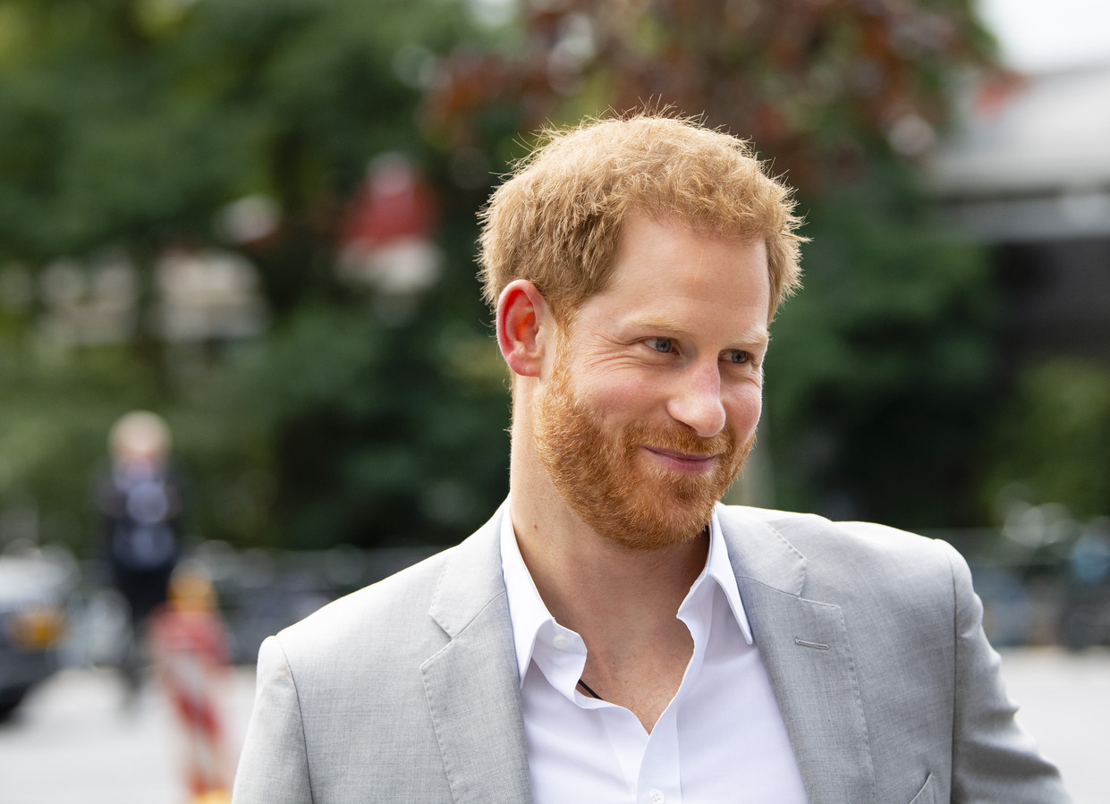 Prins Harry komt in najaar 2022 met memoires | Foto | tubantia.nl