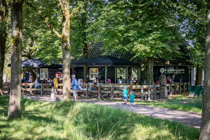 Met wandelen over de Strabrechtse Heide geld ophalen voor onderzoek ...